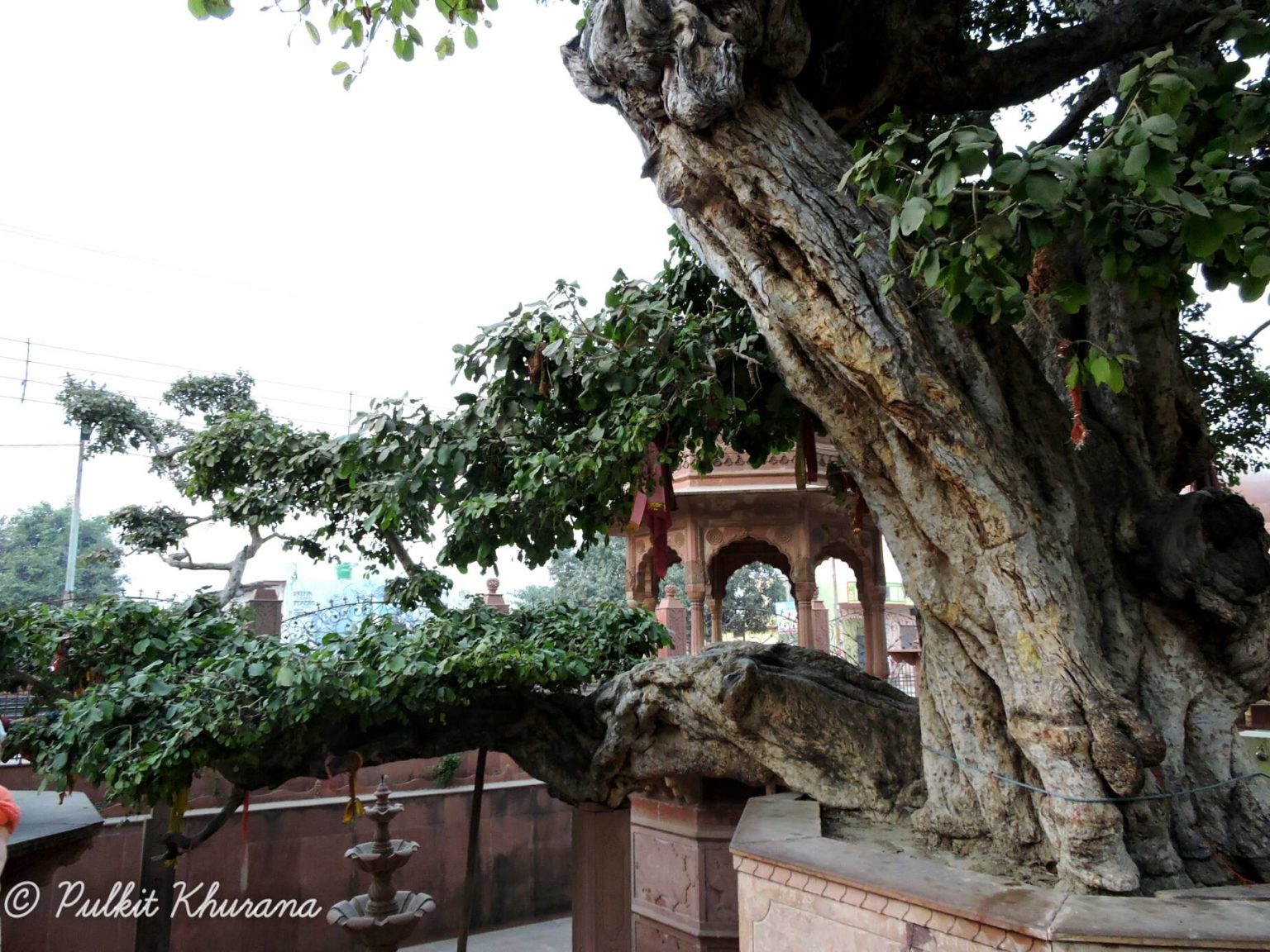 Kaliya ghat, Vrindavana - with answer - Vedic Library by ISVARA.org