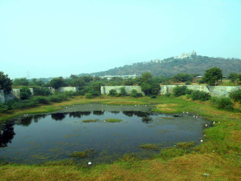 Dohani Kunda, Krishna teaches Radha how to milk - Vedic Library by ...